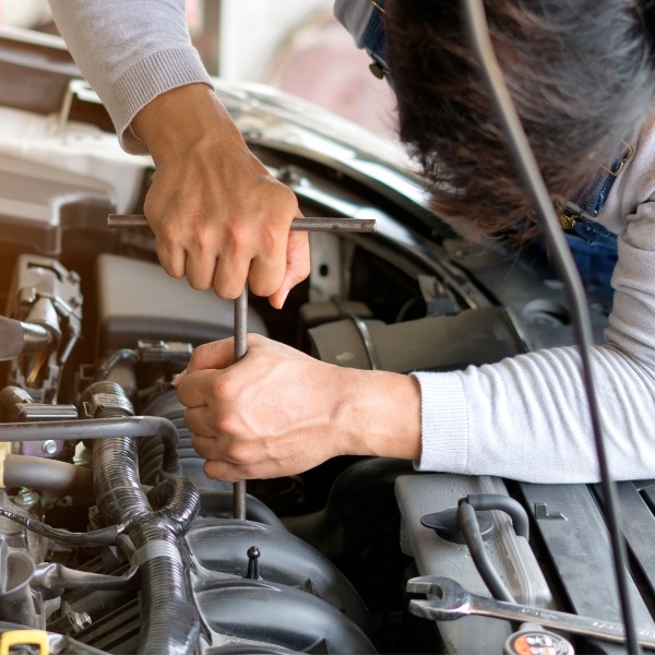 How Princess Auto Increased Conversions and RPV with Constructor