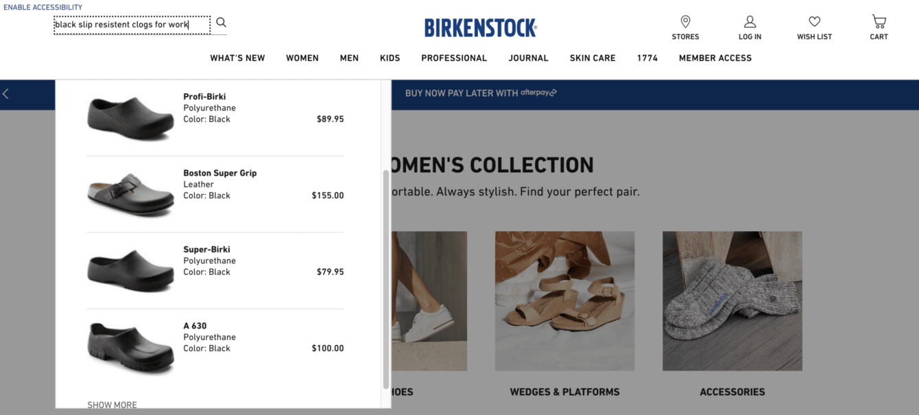 All About Natural Language Search Engines [+ Examples]
