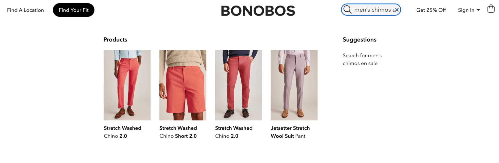 All About Natural Language Search Engines [+ Examples]